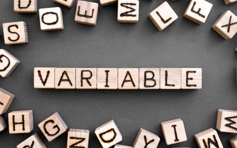 Variable Annuities: Who Regulates Them? - After Work Wonders